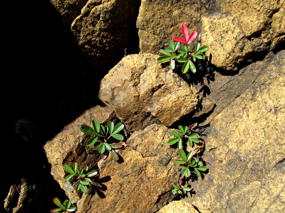 Climbing the Lewis Hills’ Pyramid Peak – IATNL