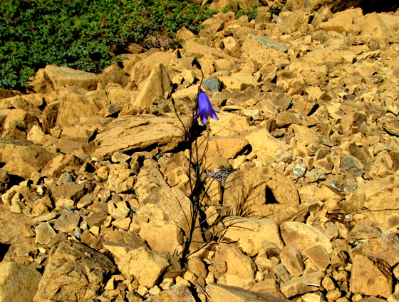 Climbing the Lewis Hills’ Pyramid Peak – IATNL