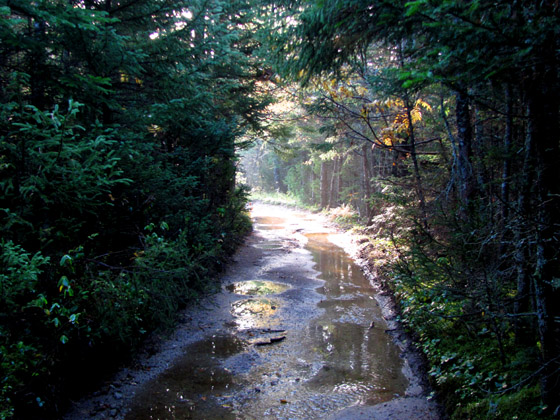 Autumn Day Trek To Little Codroy Pond – IATNL