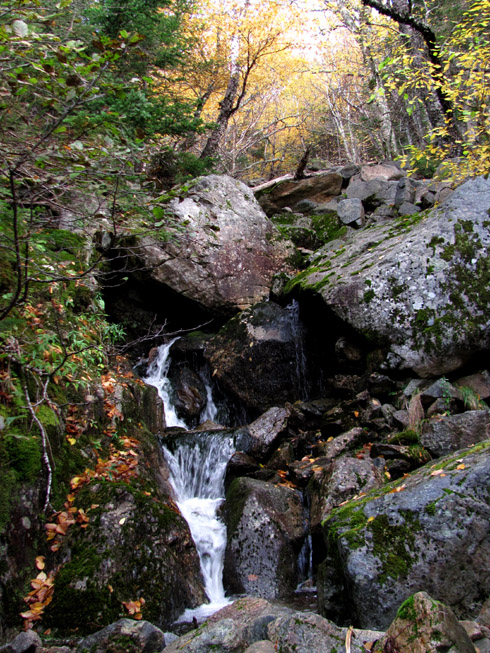 Autumn Day Trek To Little Codroy Pond – IATNL