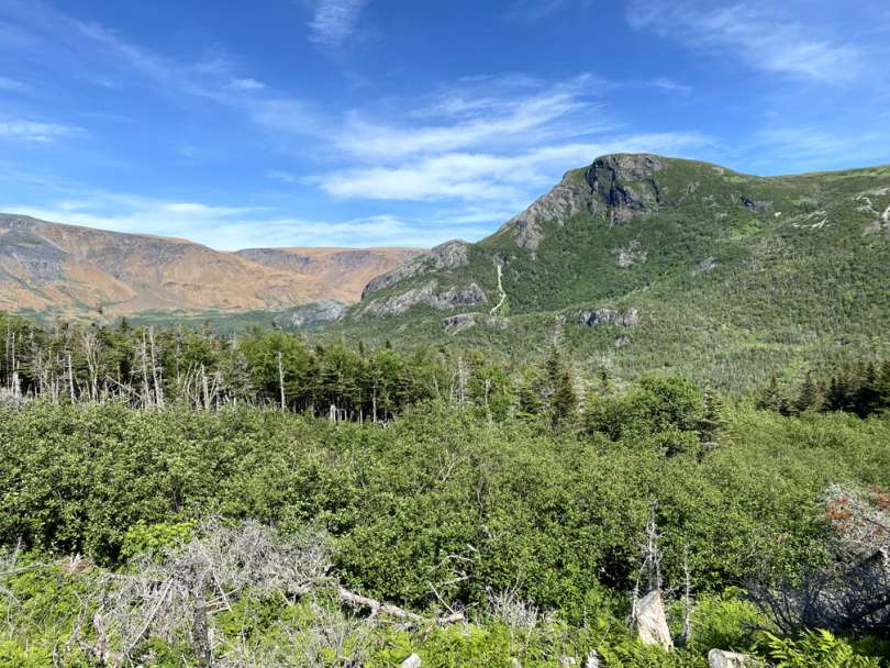 Elephant Trail – Photo Gallery – IATNL