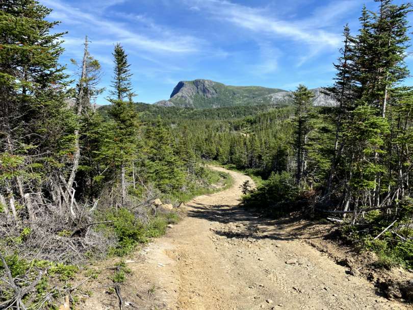 Elephant Trail – Photo Gallery – IATNL